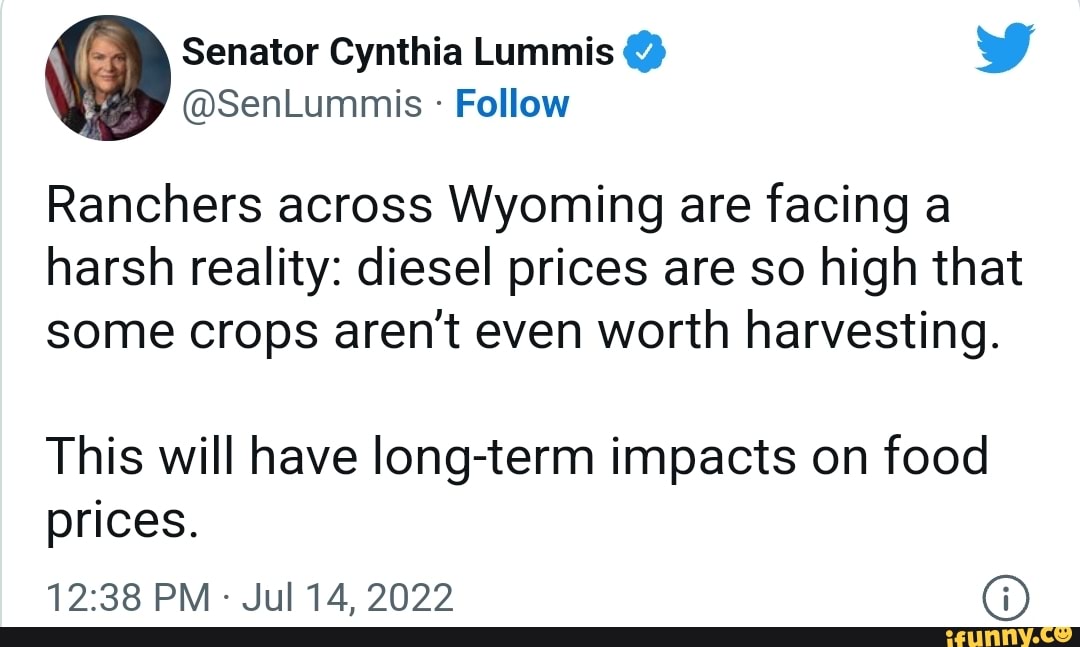 Cynthia memes. Best Collection of funny Cynthia pictures on iFunny