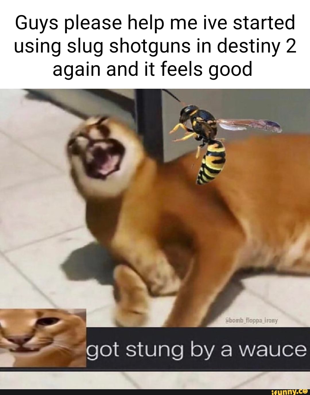 Guys please help me ive started using slug shotguns in destiny 2 again ...