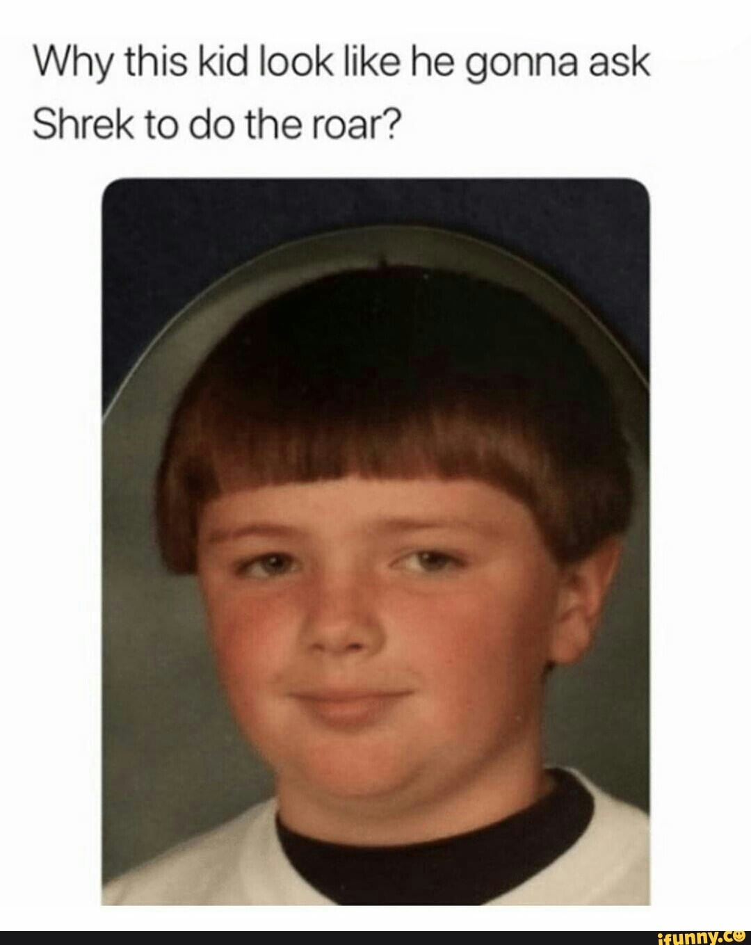 Why this kid look like he gonna ask Shrek to do the roar? - iFunny