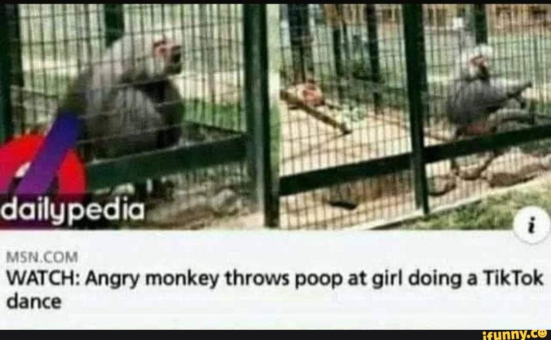Dailypedia WATCH: Angry monkey throws poop at girl doing a TikTok dance - )