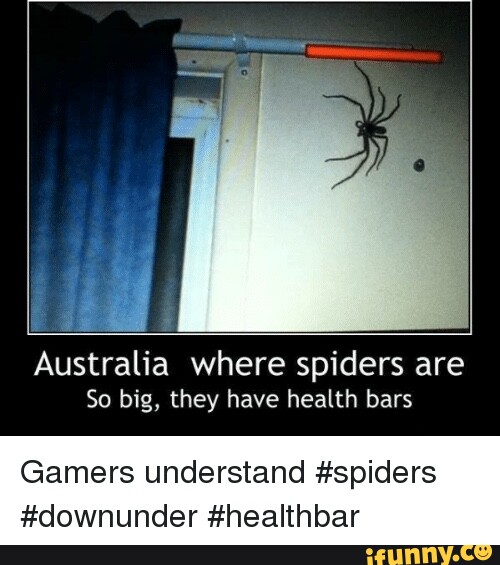 Australia where spiders are So big, they have health bars Gamers ...