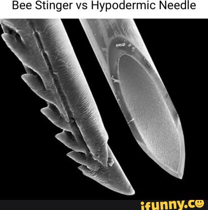 Hypodermic memes. Best Collection of funny Hypodermic pictures on iFunny