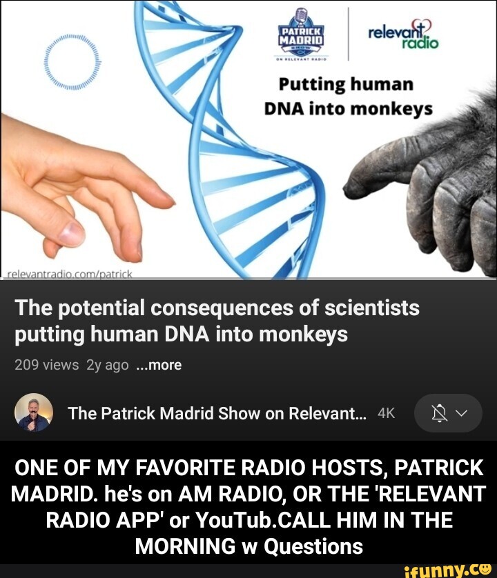 Putting human DNA into monkeys The potential consequences of scientists ...