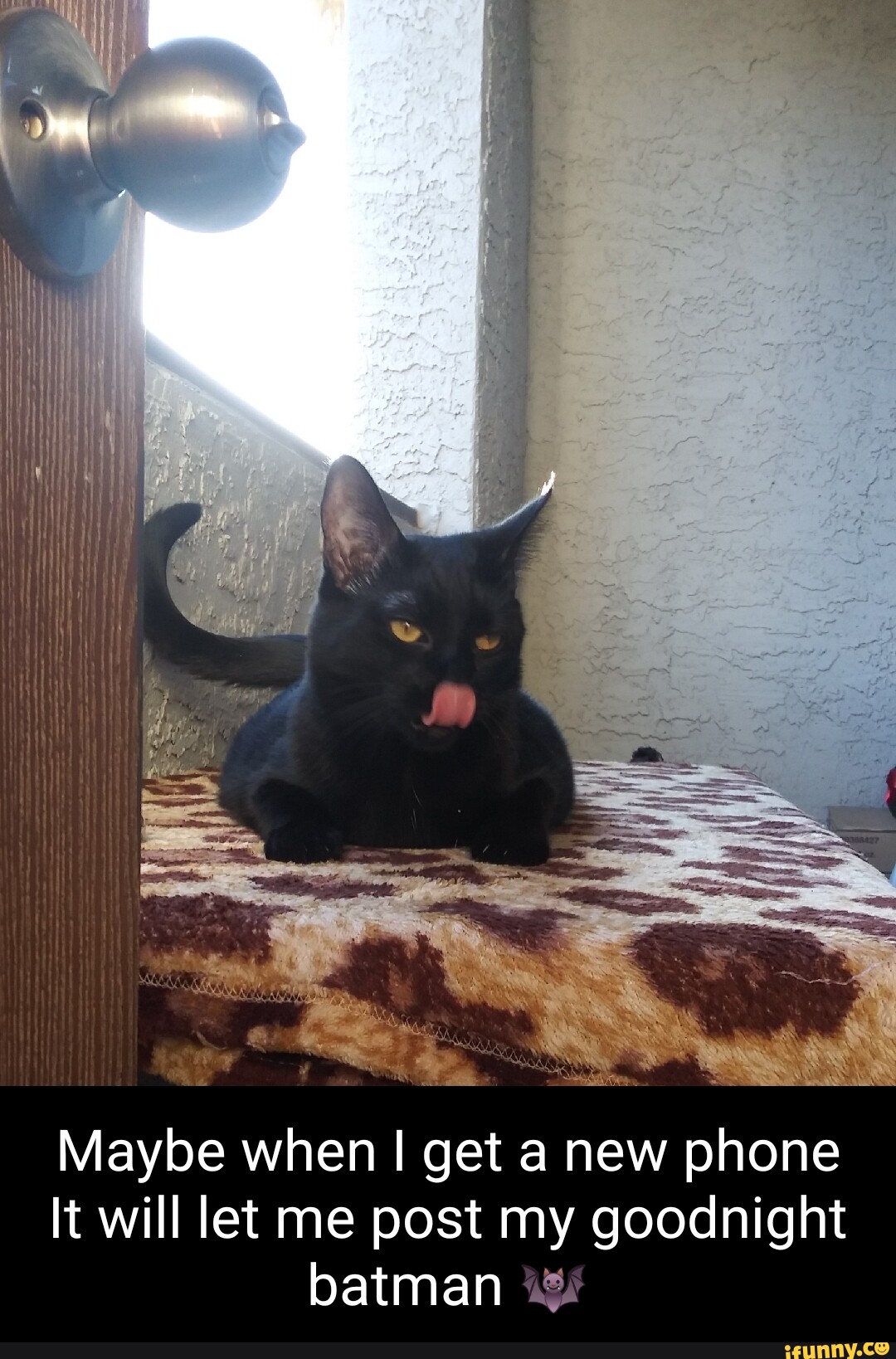 Call Me Maybe Meme Batman