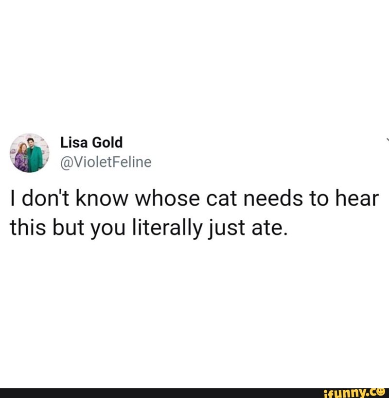 40 funny Cat Memes - Lisa Gold I don't know whose cat needs to hear ...