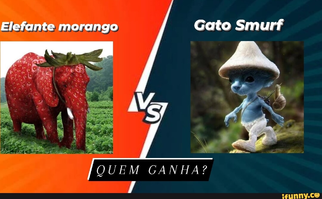 Elefante morango Gato Smurf QUEM GANHA? - iFunny Brazil