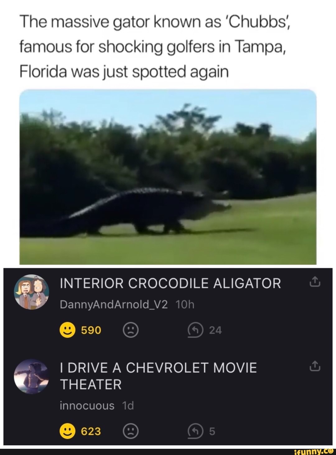 The massive gator known as 'Chulbbs, famous for shocking golfers in ...