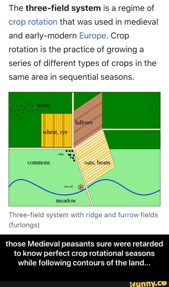Medieval Crop Rotation System