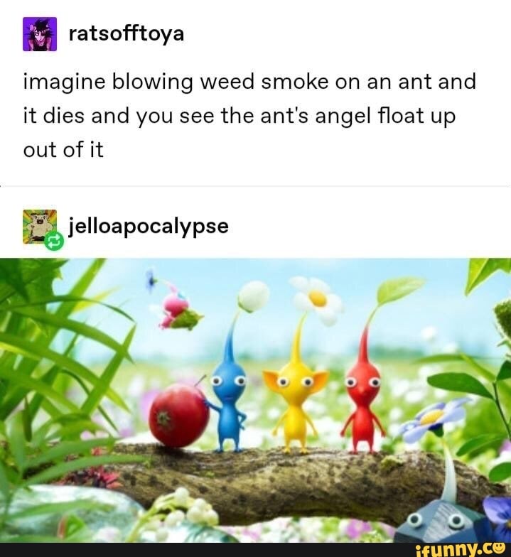 Jelloapocalypse memes. Best Collection of funny Jelloapocalypse ...