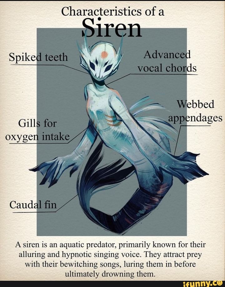 Characteristics of teeth Ns tor Webbed A siren is an aquatic predator ...