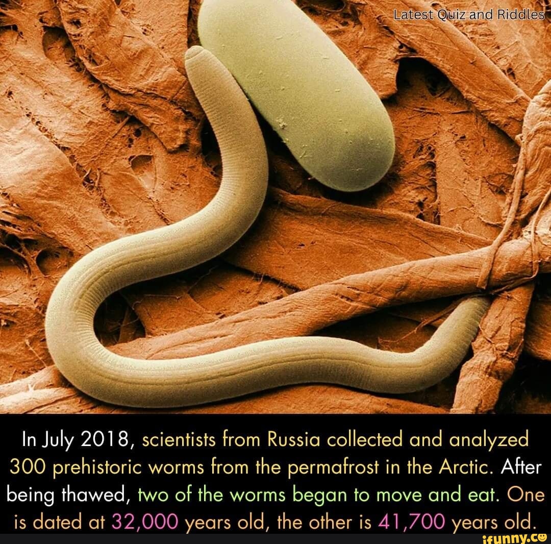 Permafrost memes. Best Collection of funny Permafrost pictures on iFunny