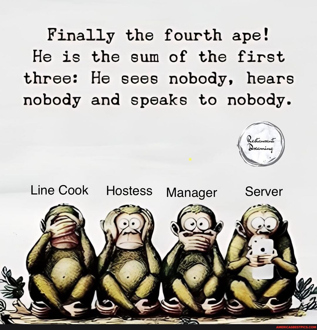 The server 🤣 - Finally the fourth ape! He is the sum of the first three ...