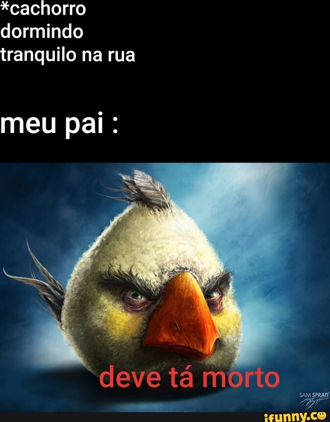 *cachorro dormindo tranquilo na rua meu pai: deve tá morto - iFunny Brazil