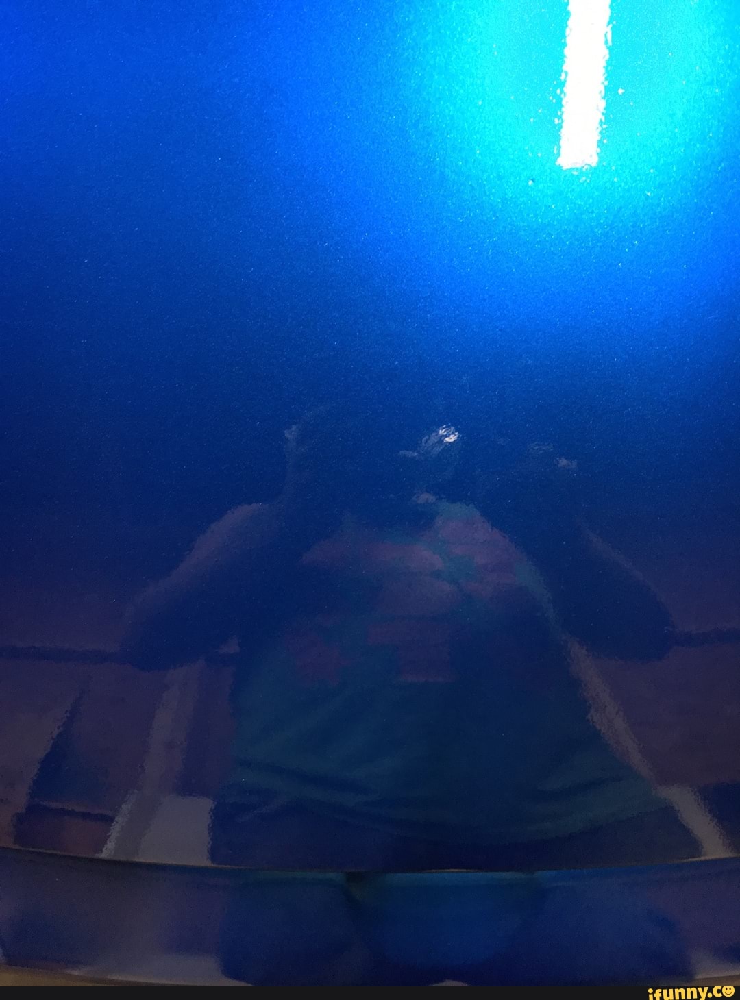 Asuh memes. Best Collection of funny Asuh pictures on iFunny