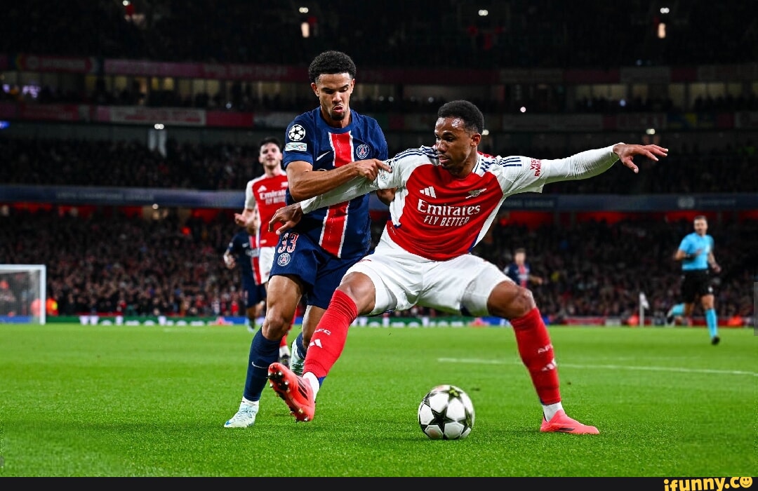 Coyg memes. Best Collection of funny Coyg pictures on iFunny