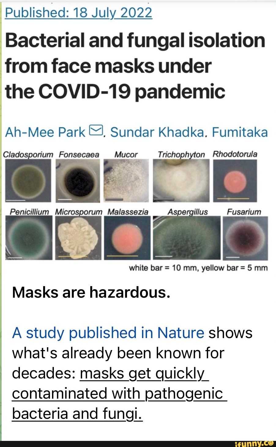 Published: 18 July 2022 Bacterial and fungal isolation from face masks ...