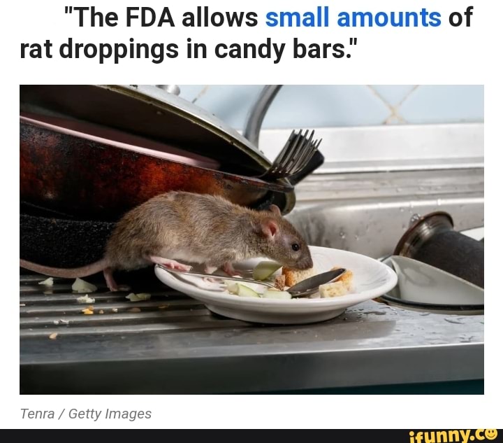 "The FDA allows small amounts of rat droppings in candy bars." - iFunny