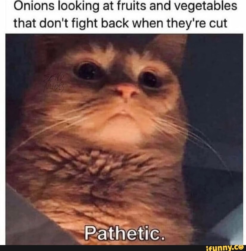 Onioncat memes. Best Collection of funny Onioncat pictures on iFunny