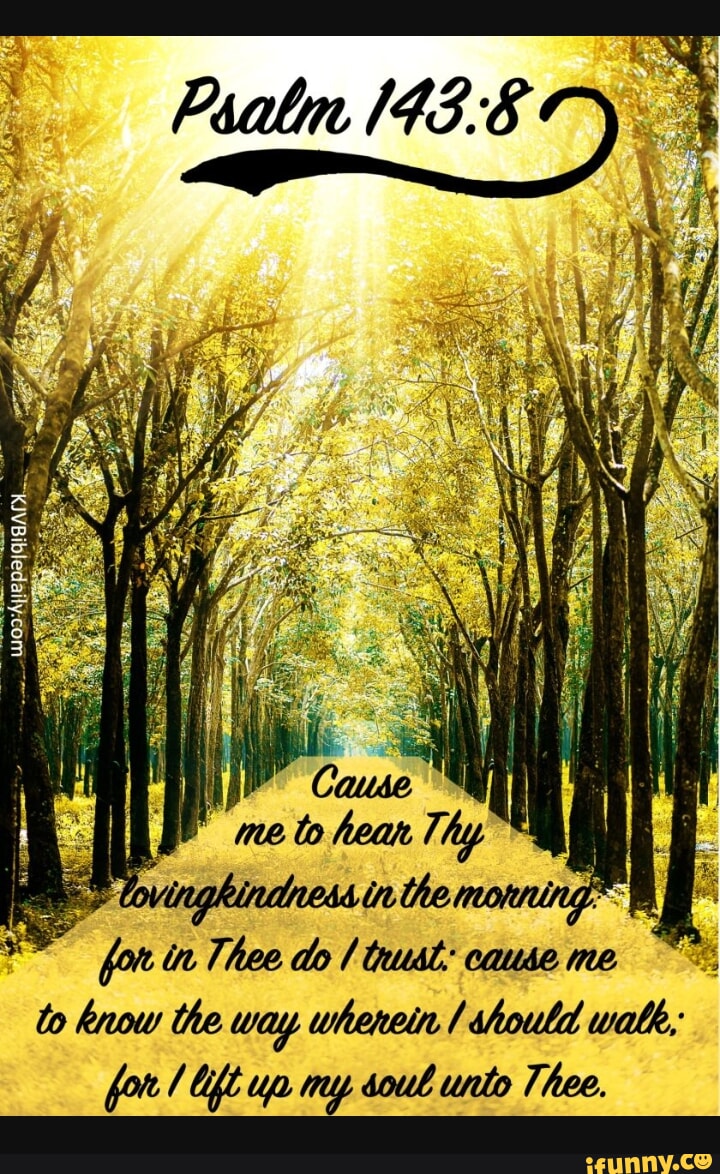 Cause me to know the way whenetn I should walk, for I Uft up my soul ...