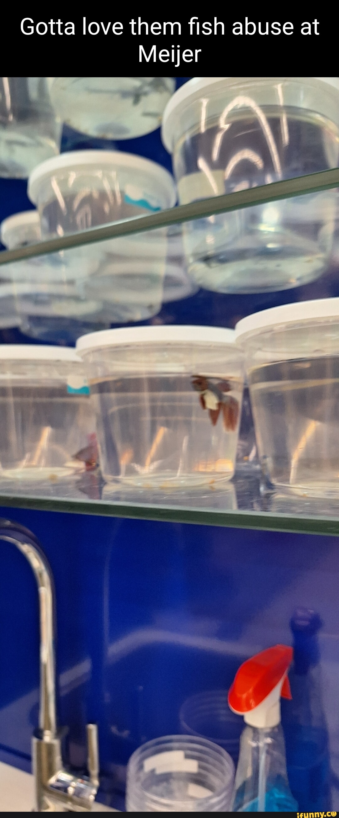 Meijer memes. Best Collection of funny Meijer pictures on iFunny