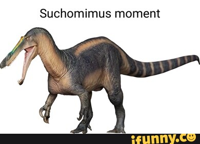 Suchomimus memes. Best Collection of funny Suchomimus pictures on iFunny