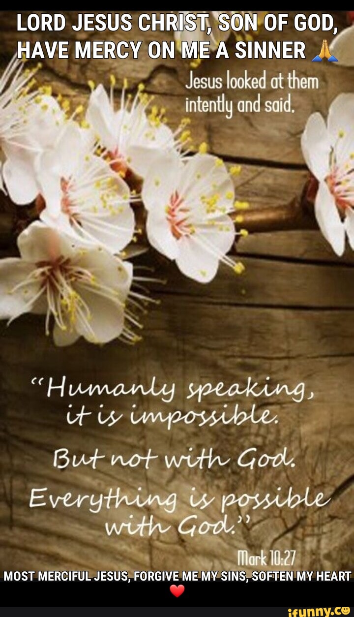 Intently memes. Best Collection of funny Intently pictures on iFunny