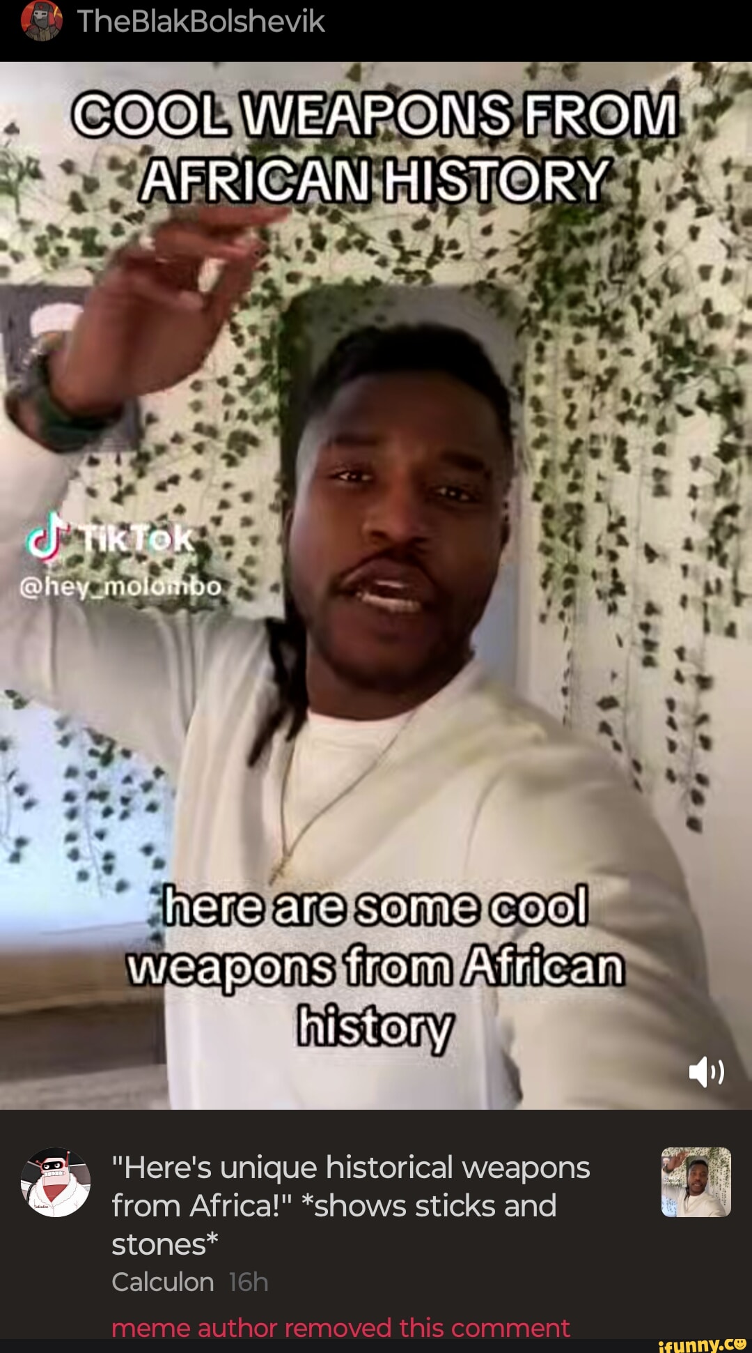 COOL TikTok @hey we TheBlakBolshevik = = =f FROM iv AFRICAN HISTORY as ...