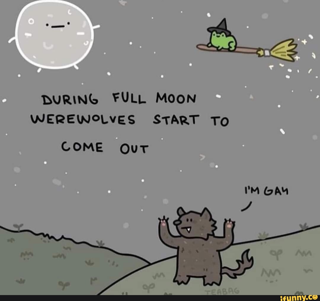 DURING FULL MOON WEREWOLVES START To COME oOuT - iFunny