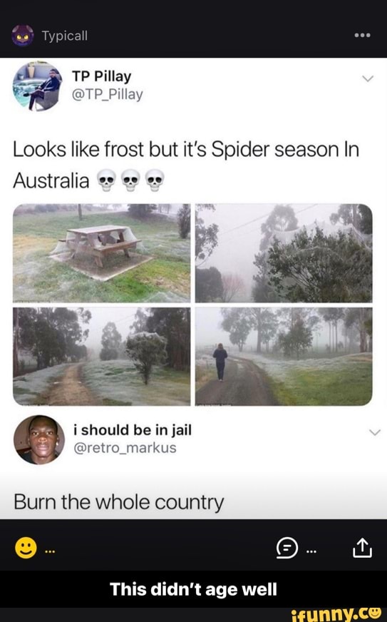 Typical Pillay Looks like frost but it's Spider season In NUS fell ...