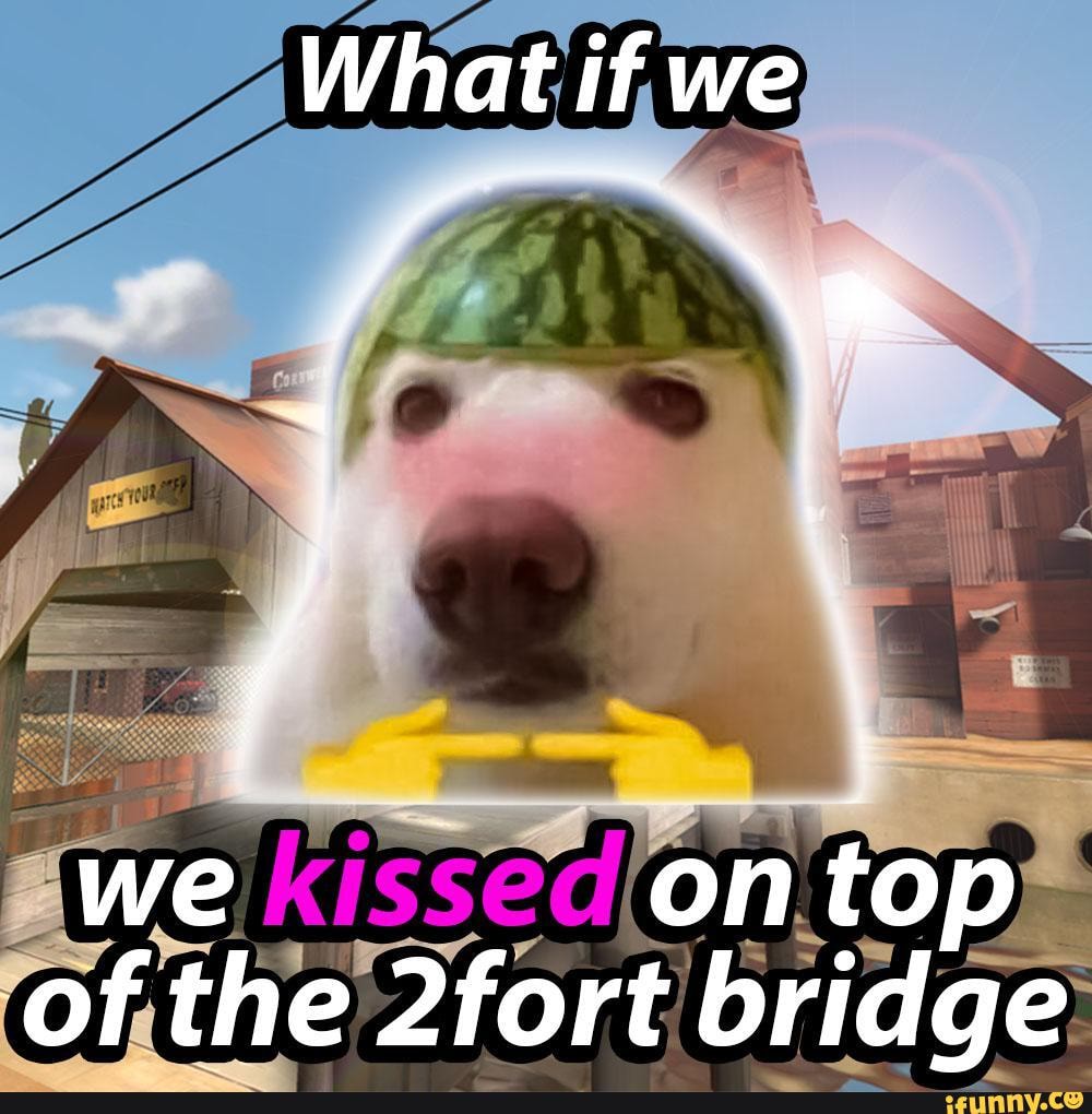 What if we / \ SS we ontop of the 2fort bridge - iFunny