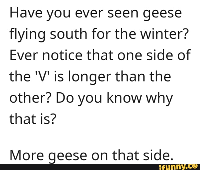 Have you ever seen geese lying south for the winter? Ever notice that ...