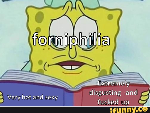 Forniphilia memes. Best Collection of funny Forniphilia pictures on iFunny