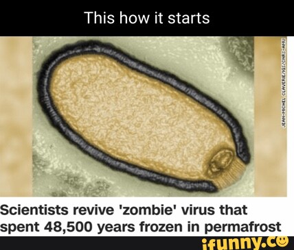 This how it starts Scientists revive 'zombie' virus that spent 48,500 ...