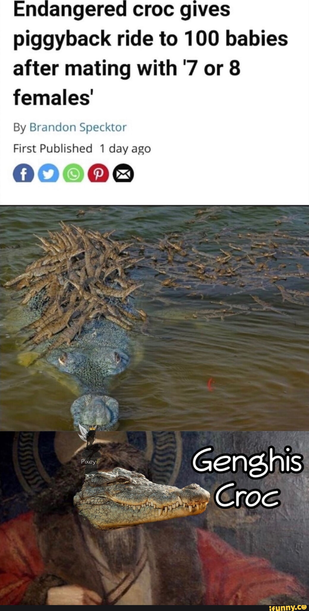 Endangered croc gives piggyback ride to 100 babies after mating with '7 ...