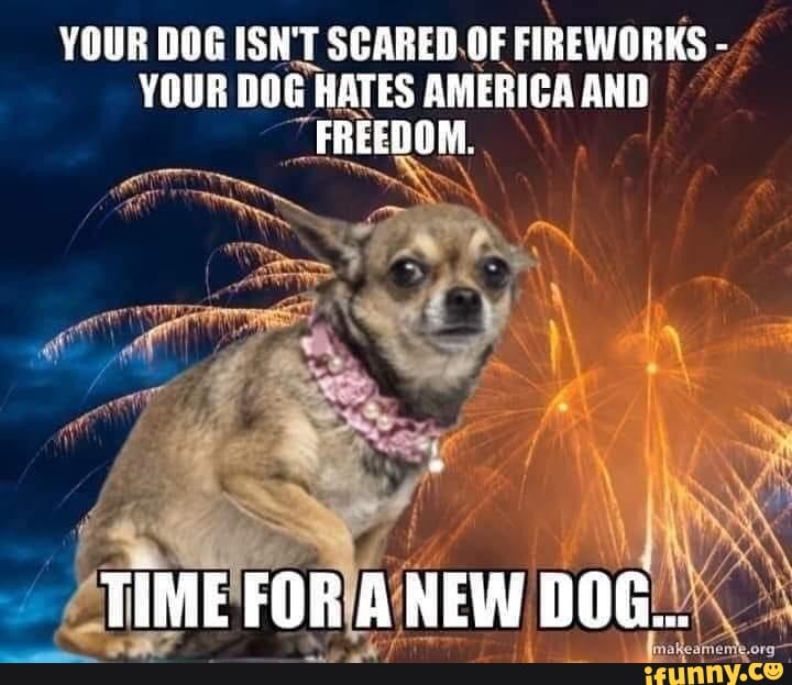 What’s the reason for people hating fireworks? : r/AskReddit