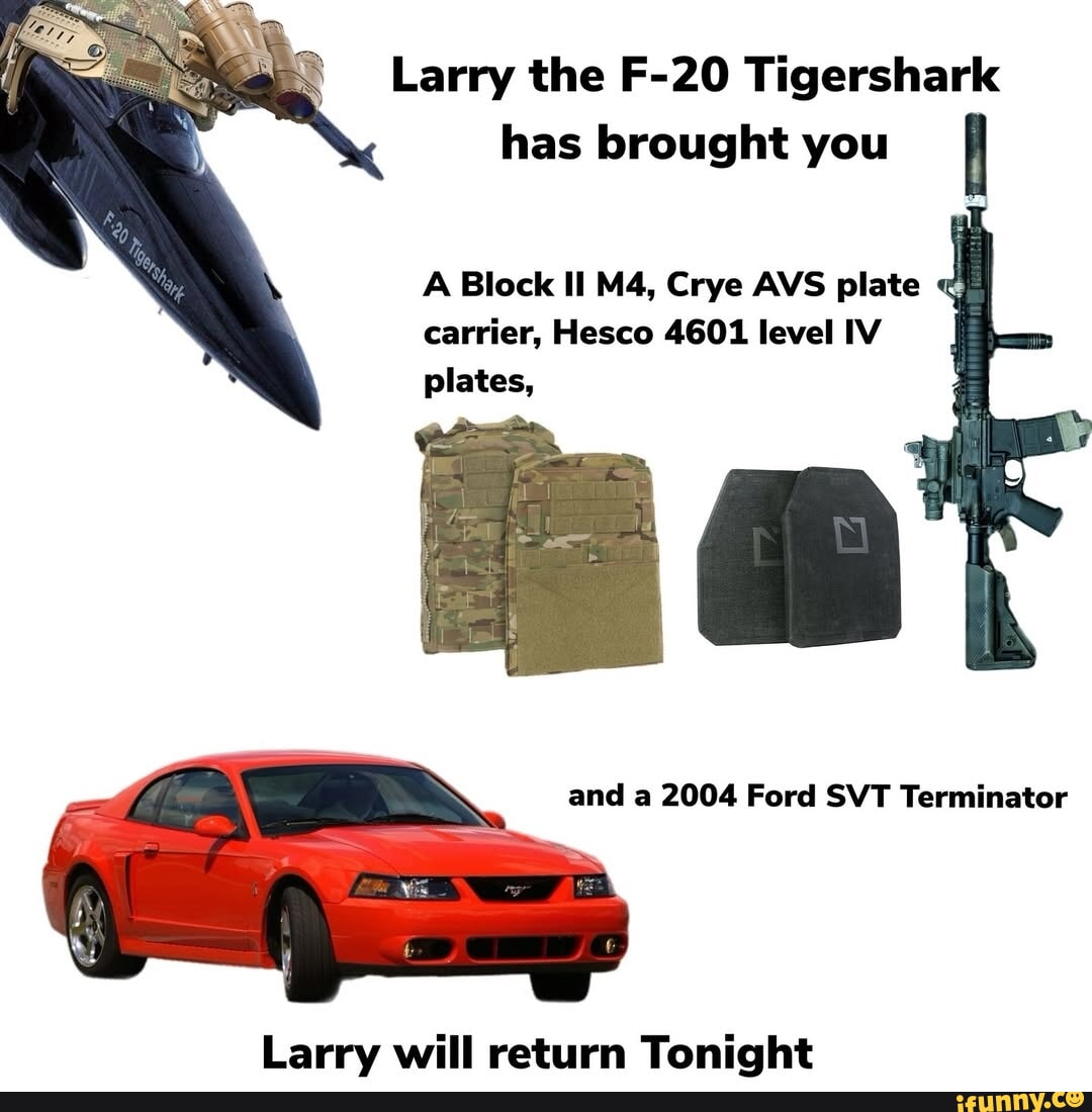 Larry the F-20 Tigershark has brought you A Block II Crye AVS plate ...