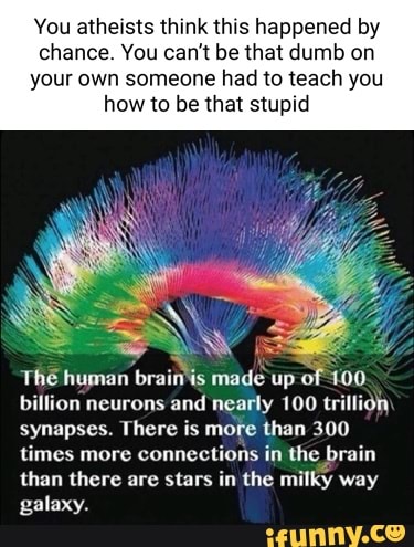 Synapses memes. Best Collection of funny Synapses pictures on iFunny