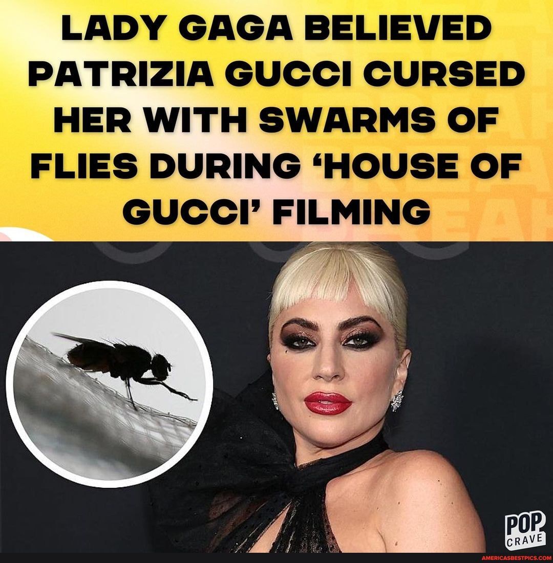 LADY GAGA BELIEVED PATRIZIA GUCCI CURSED HER WITH SWARMS OF FLIES ...