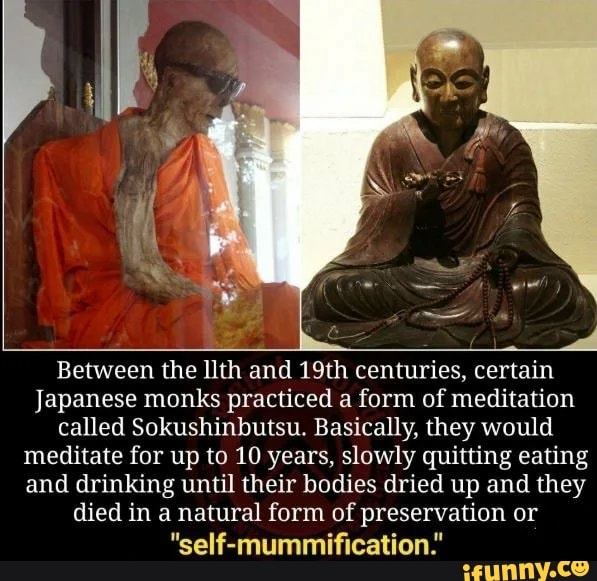 Sokushinbutsu memes. Best Collection of funny Sokushinbutsu pictures on ...