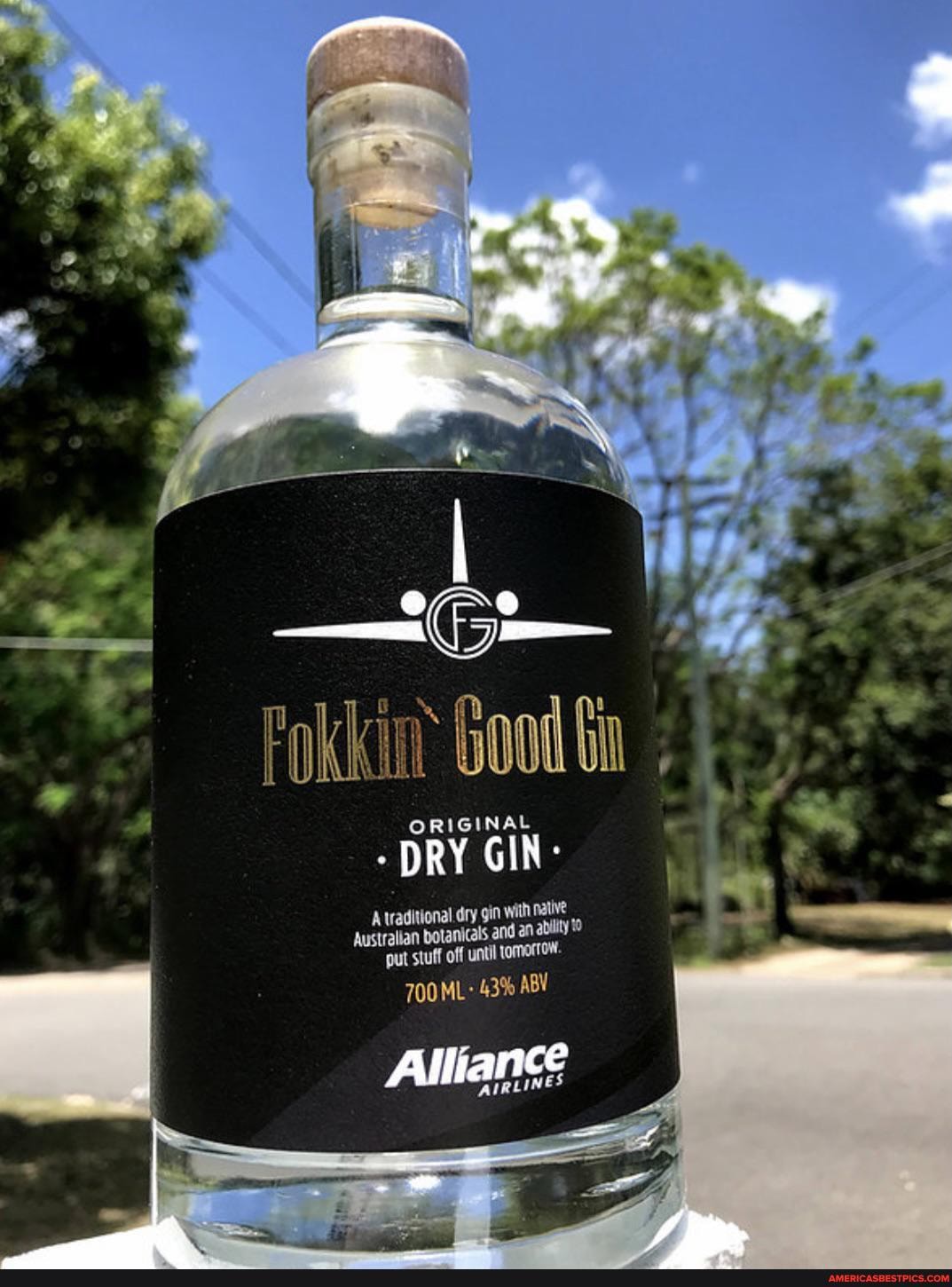 ORIGINAL DRY GIN- Atradional ry and native Australian botanicals and an ...