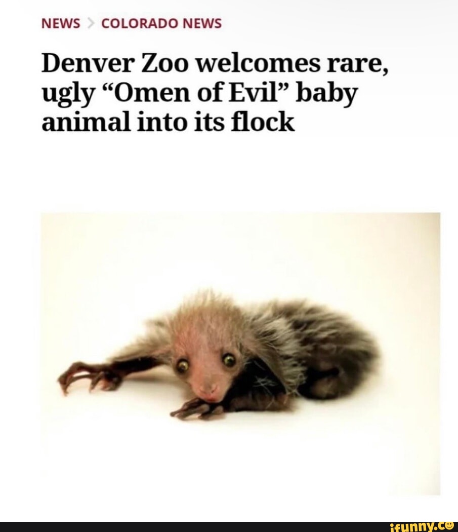 NEWS COLORADO NEWS Denver Zoo welcomes rare, ugly "Omen of Evil" baby ...