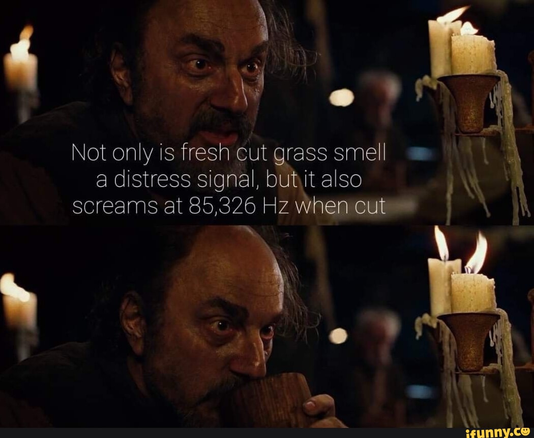 Cursed Al Andrew Ramsey Workers in Tennessee collecting Dew from the ...