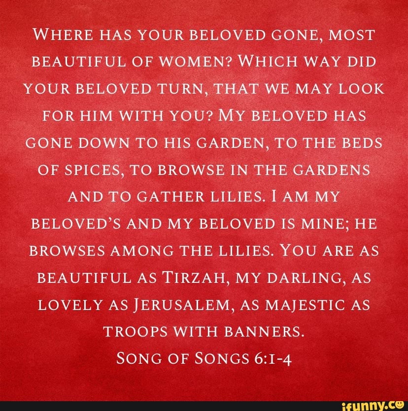WHERE HAS YOUR BELOVED GONE, MOST BEAUTIFUL OF WOMEN? WHICH WAY DID ...