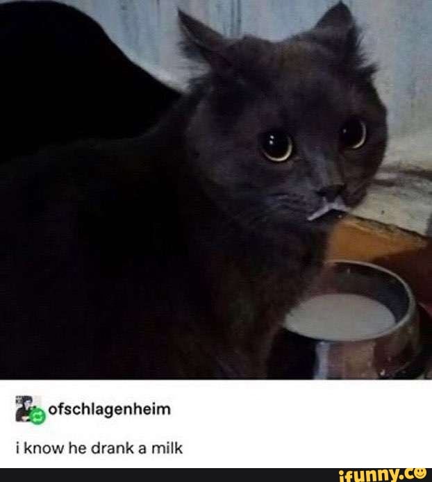 When Was Milk First Drank at Bruce Schmidt blog