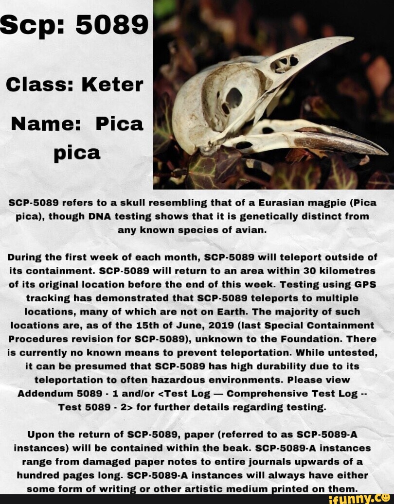 Scp: 5089 Class: Keter Name: Pica pica SCP-5089 refers to a skull ...