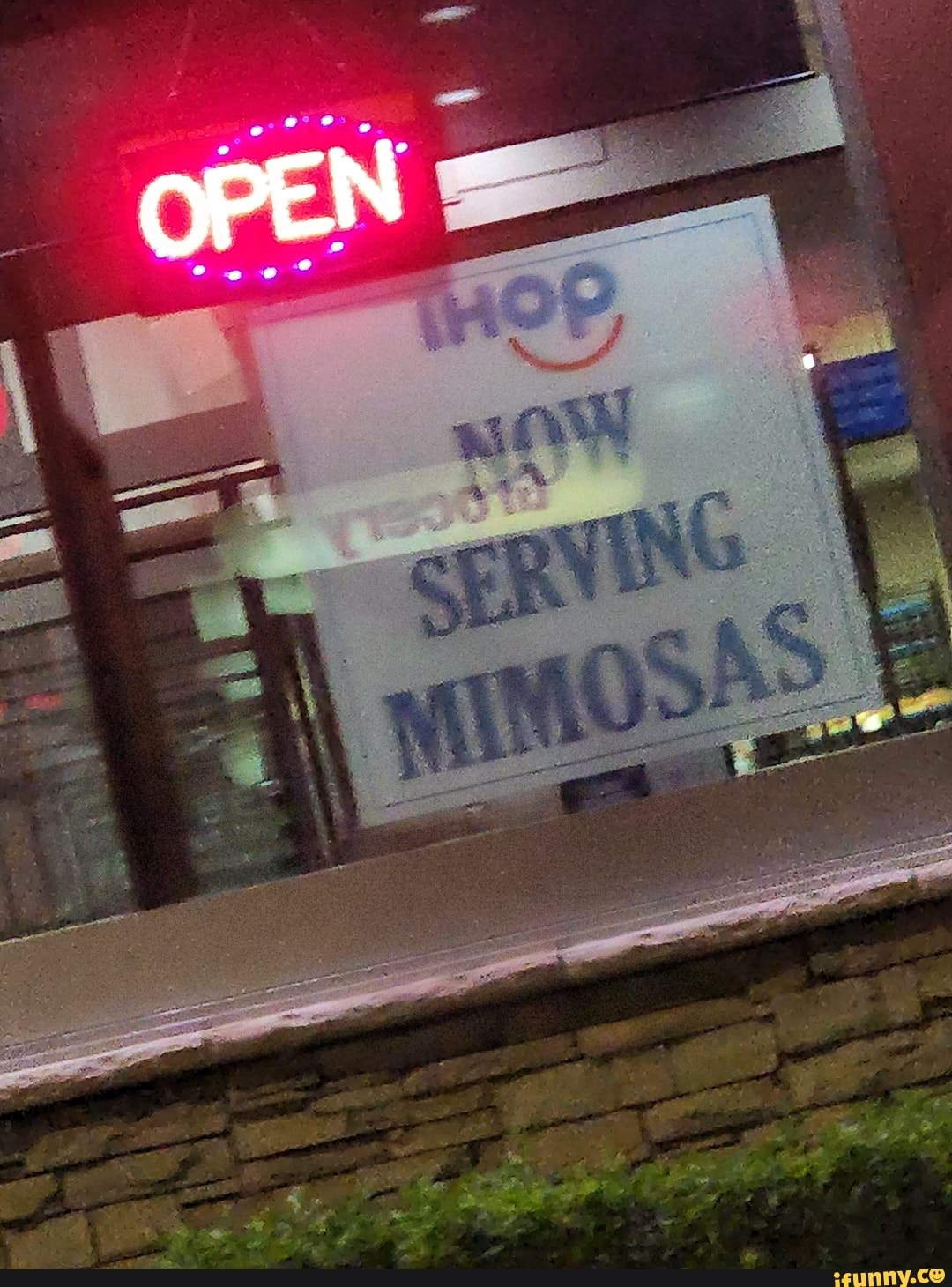 Mimosas memes. Best Collection of funny Mimosas pictures on iFunny