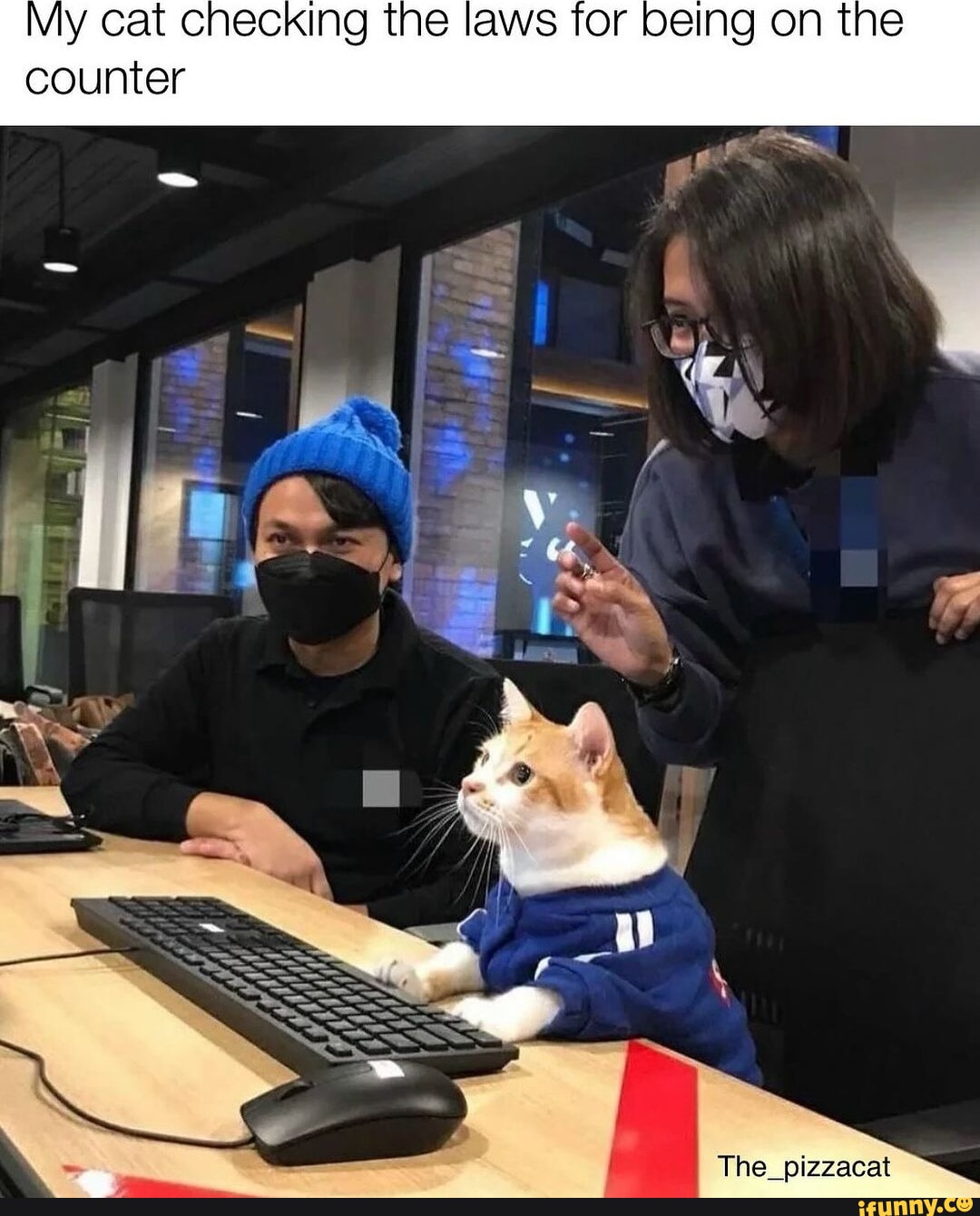 Video memes QZIKZJta9 by trustworthyVideo_2021: 0.6K comments - iFunny