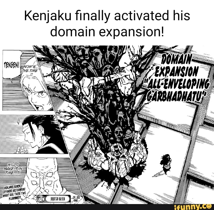 Domainexpansion memes. Best Collection of funny Domainexpansion ...