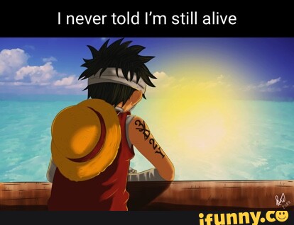 Jimbei memes. Best Collection of funny Jimbei pictures on iFunny