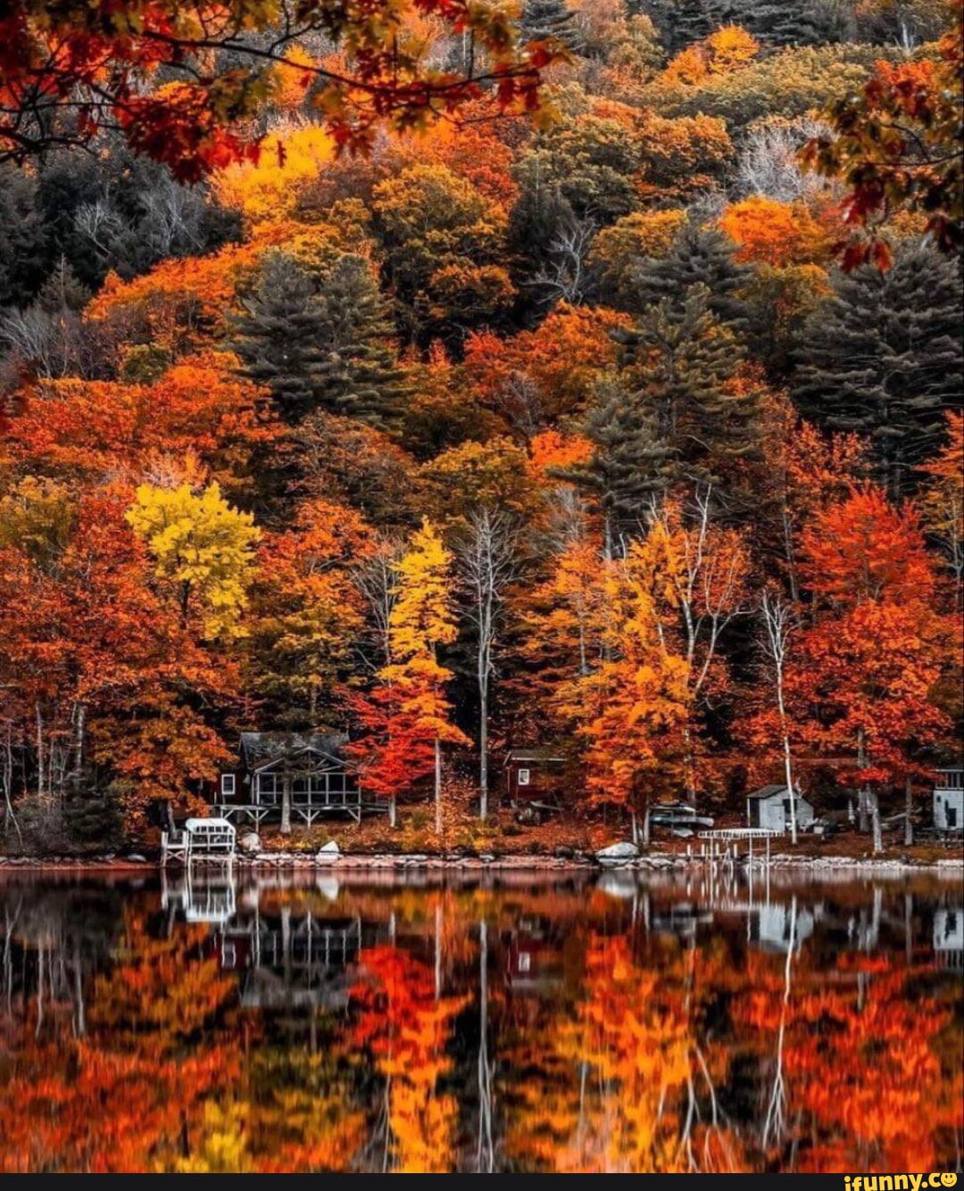 Fall memes. Best Collection of funny Fall pictures on iFunny